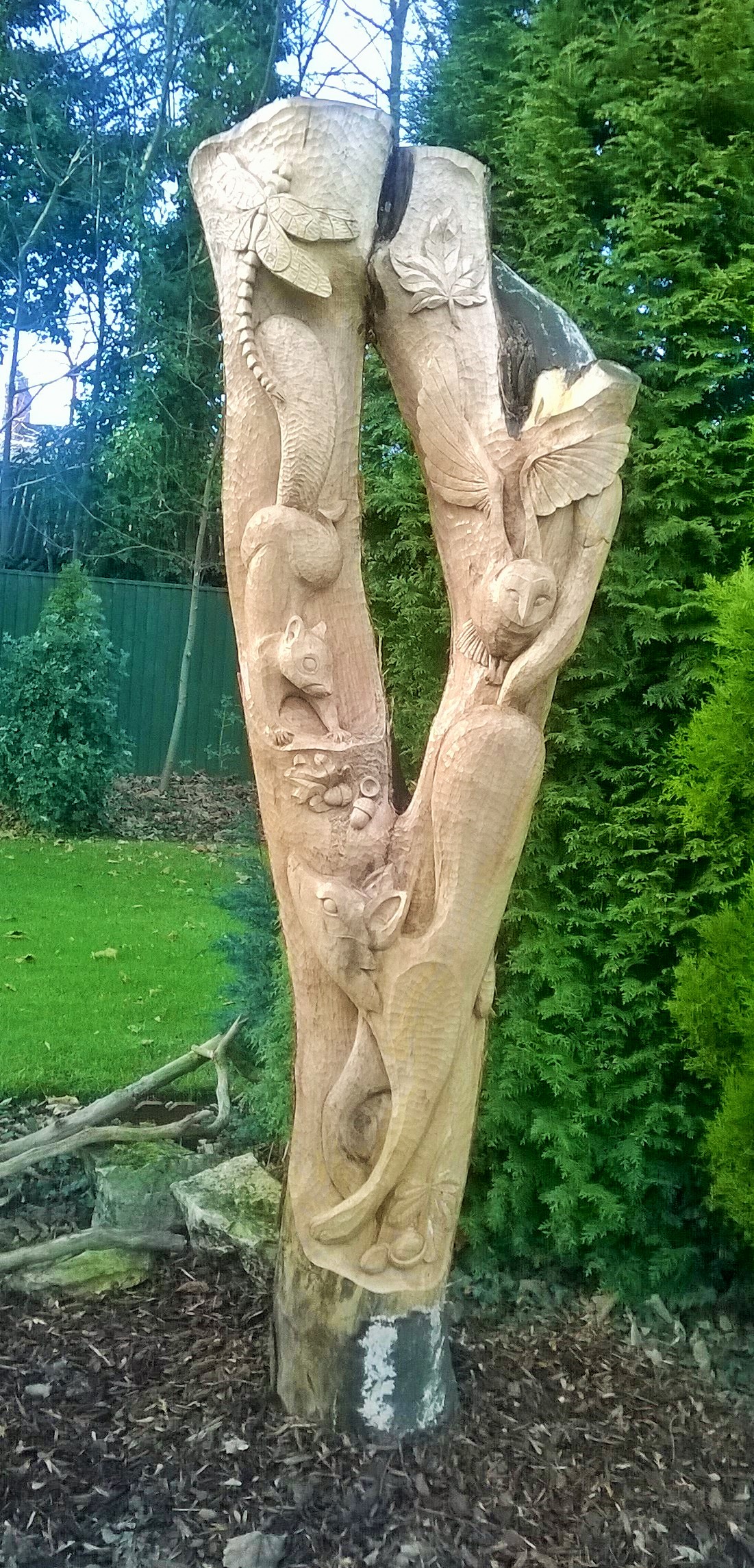 Wood Carving Art Gallery Tasmania at Willie Harrison blog